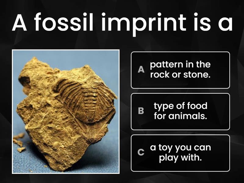 How are fossils formed? - Quiz