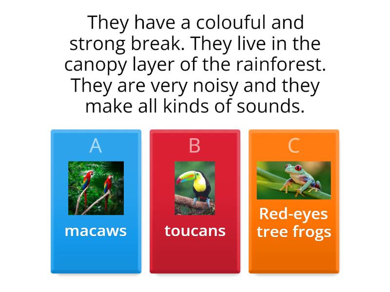 RAINFOREST ANIMAL - Quiz