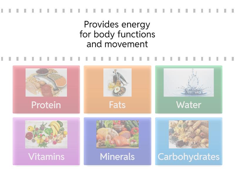 Six Essential Nutrients - Find the match