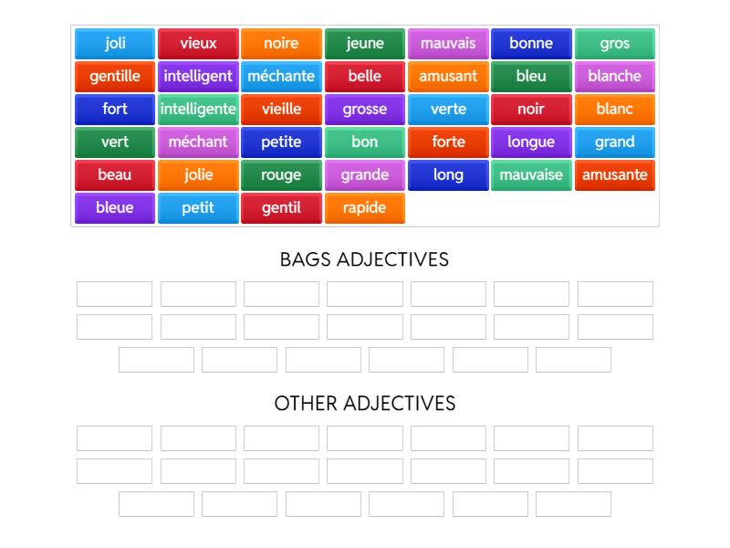 Year 7 French (Sorting Activity of Adjectives: BAGS Adjective or Not ...