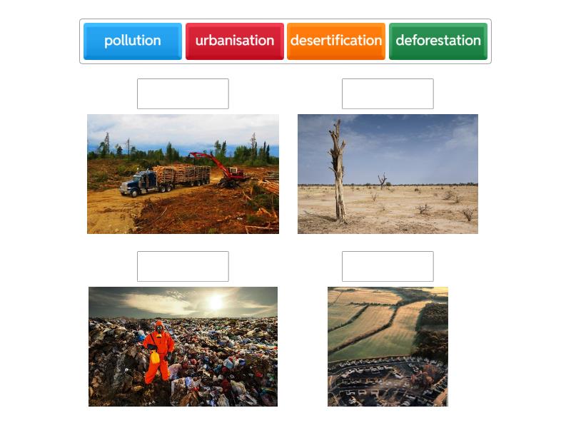 G6 - Human Impact on Land - Match up