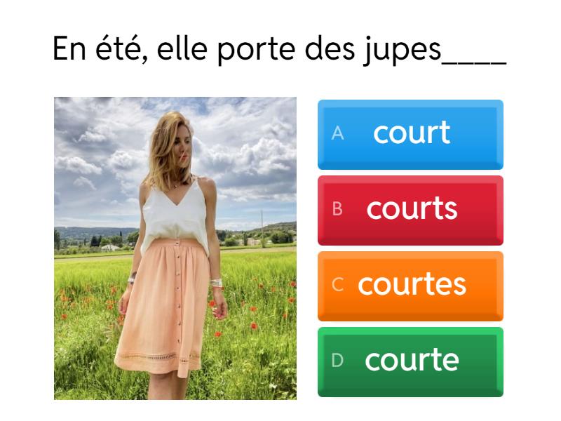 Le genre et le nombre des adjectifs - Quiz