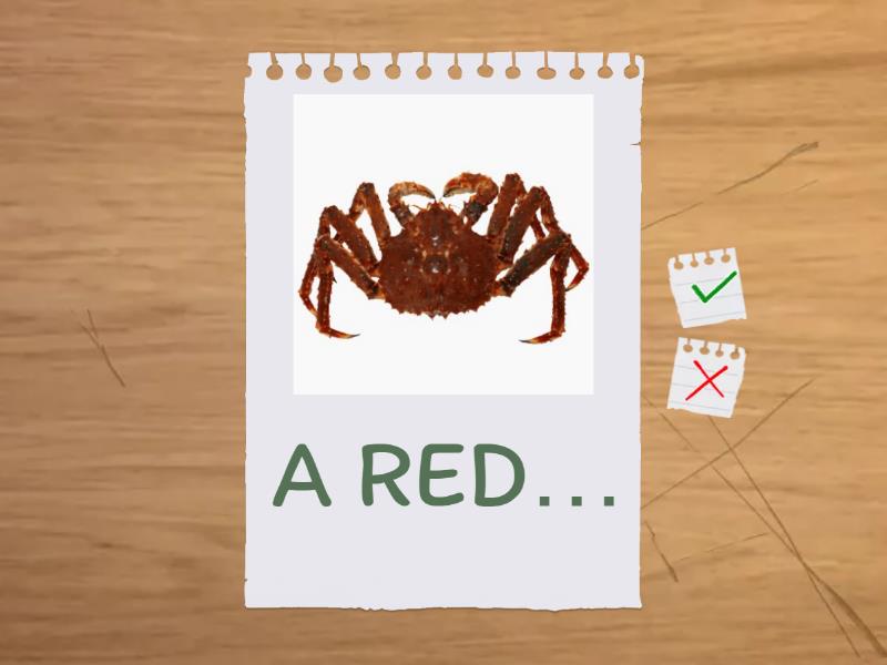 PRIMARY 1 SHARK IN THE DARK STORY - Tarjetas flash