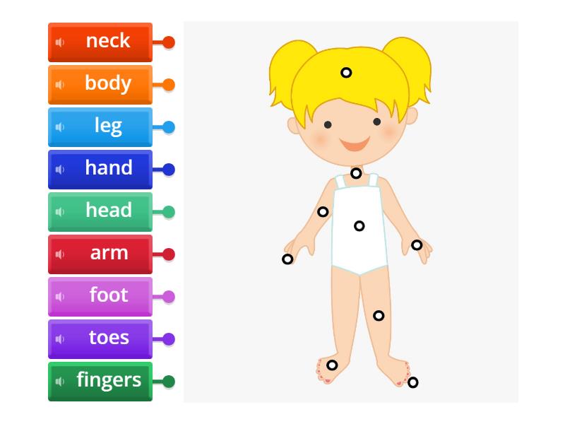 Go Getter (1) 4.2 Parts of the body - Labelled diagram