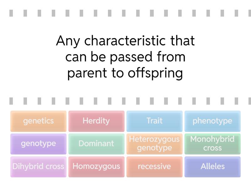 Genetics Vocabulary Practice - Find the match