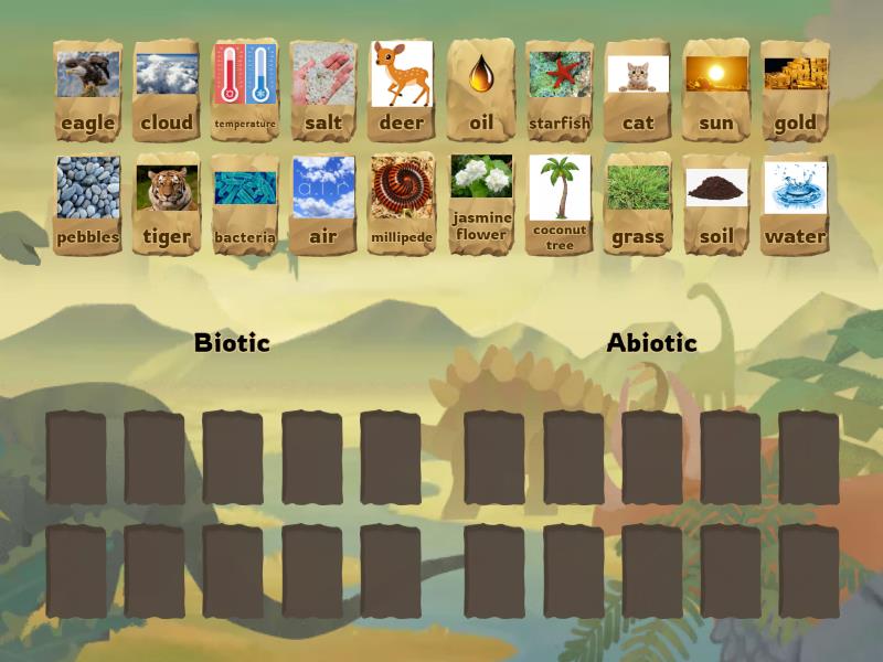 Biotic and Abiotic Components - Group sort