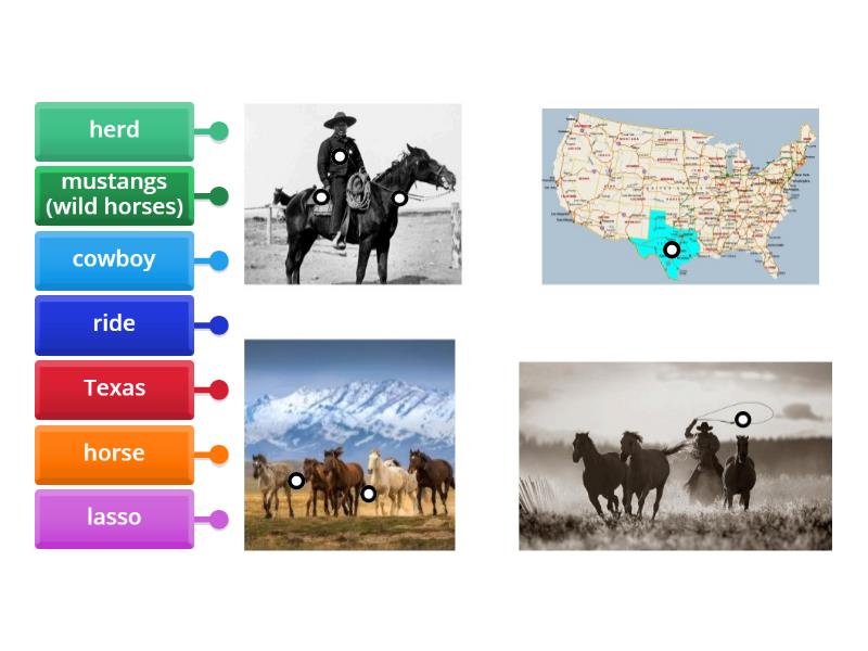 "Black Cowboy, Wild Horses" - Labelled diagram