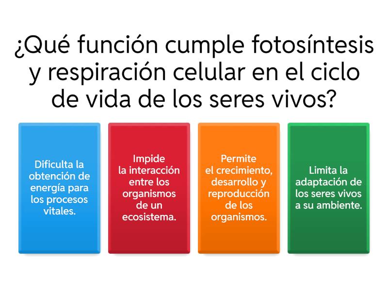 Fotosíntesis y Respiración Celular - Quiz