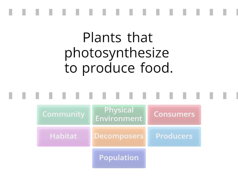 The components of ecosystems. Gr.11. Biology - Find the match