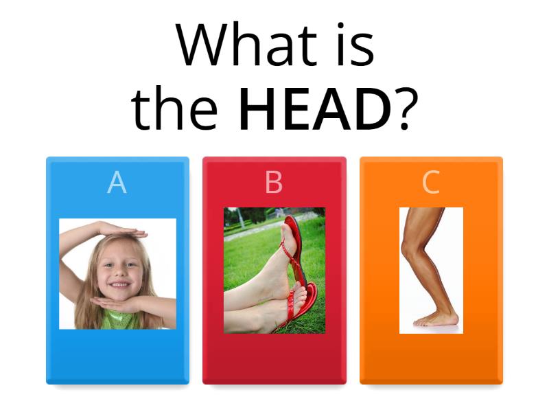 Parts of the body - Quiz