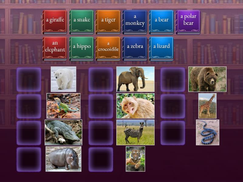 Power Up 1 Unit 6 Zoo animals - Match up