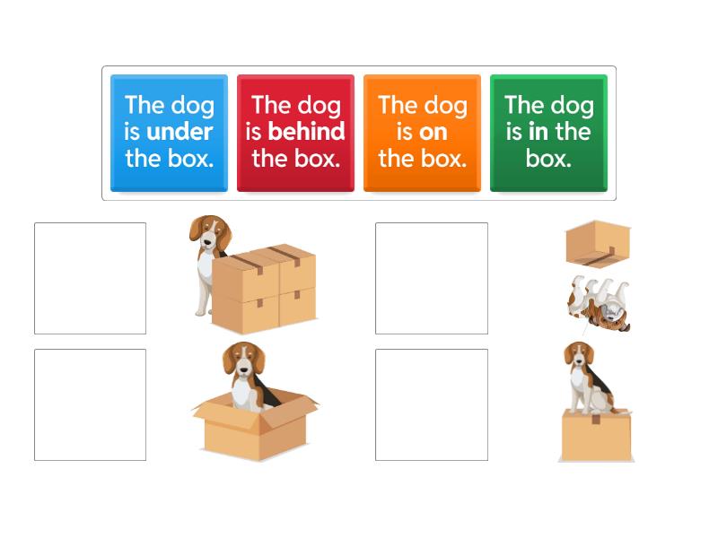Prepositions of Place: the dog is ___ the box - Match up