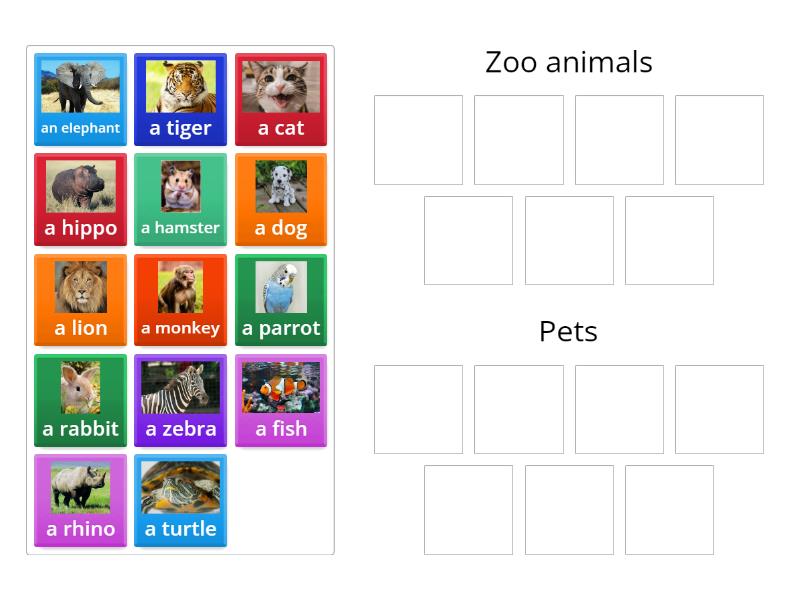 Zoo Animals x Pets - Group sort