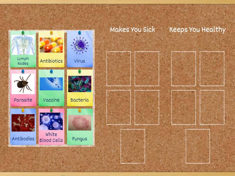 Immune System - Sick vs. Healthy - Ordenar por grupo