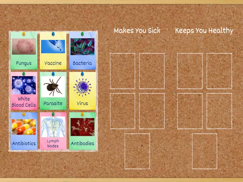 Immune System - Sick vs. Healthy - Group sort