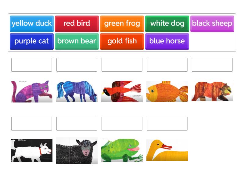 Brown bear quiz - Match up