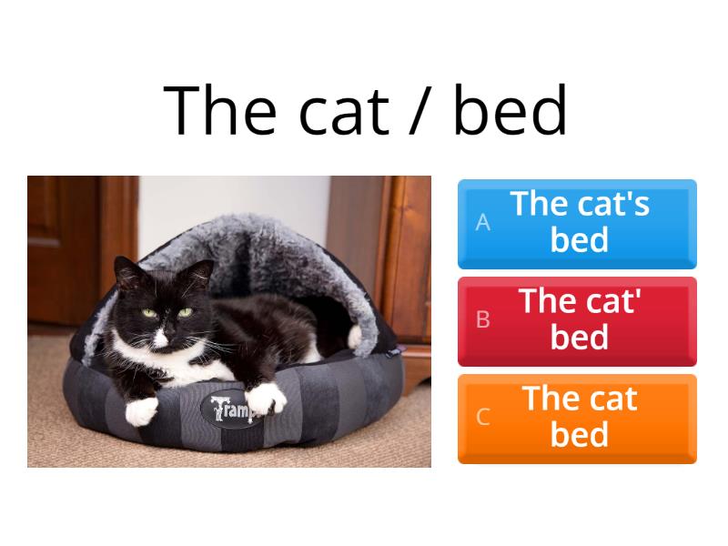 A1/A2 Possessive 's (Saxon Genitive)- - Quiz