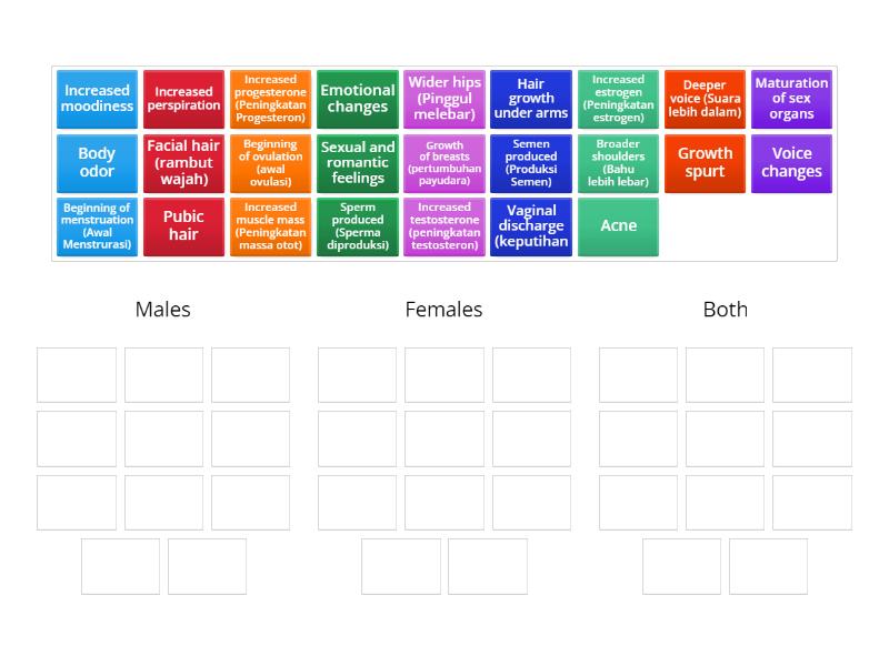 Changes at Puberty (Male/Female) - Group sort