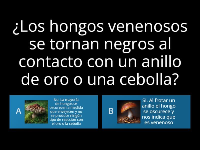 MAAC - UNLC - ¿Como saber si un hongo es comestible? - Quiz